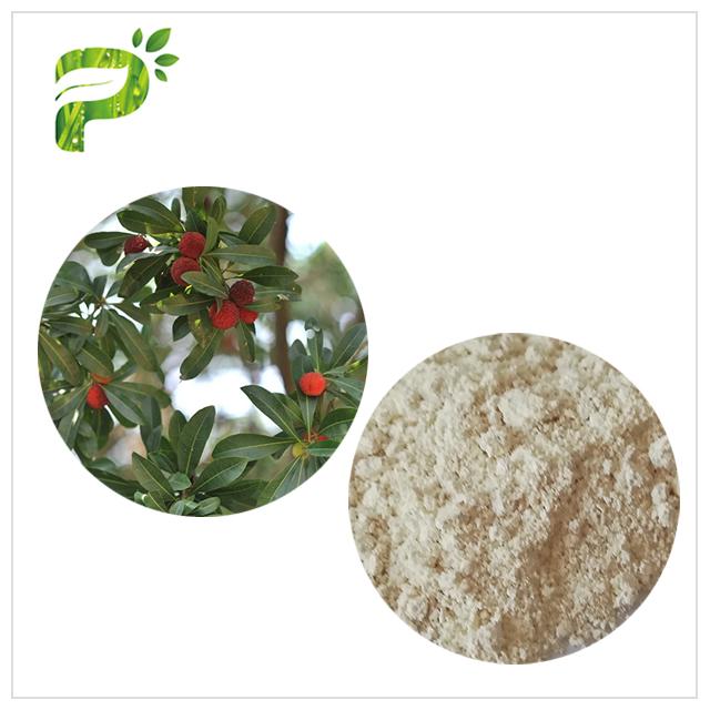Water Solvent Bayberry Bark Extract Powder , Myricetin Anti ...