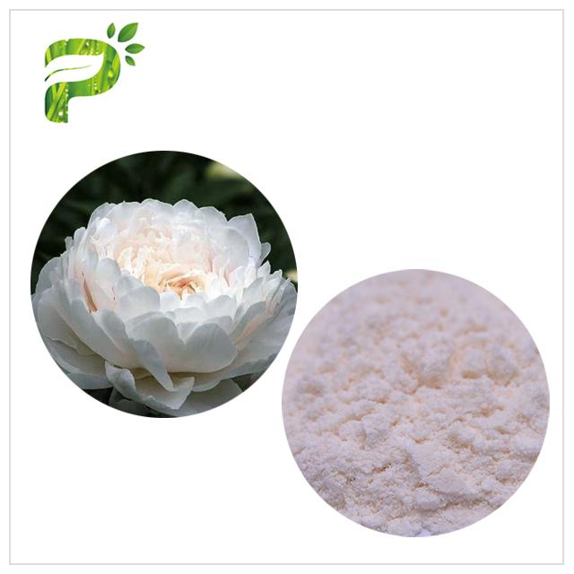 Skin Care Peony Root Extract Insoluble In Water , Paeonia Lactiflora ...