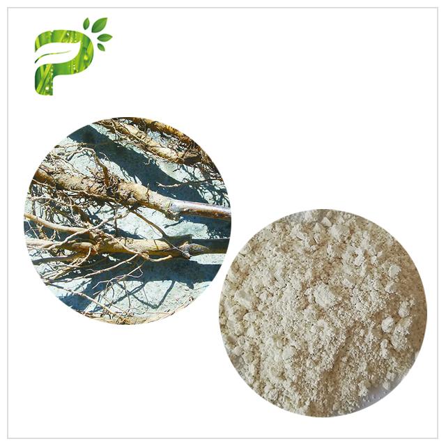 Treat diabetes Phlorizin Apple Tree Root & Bark Extract for dietary ...