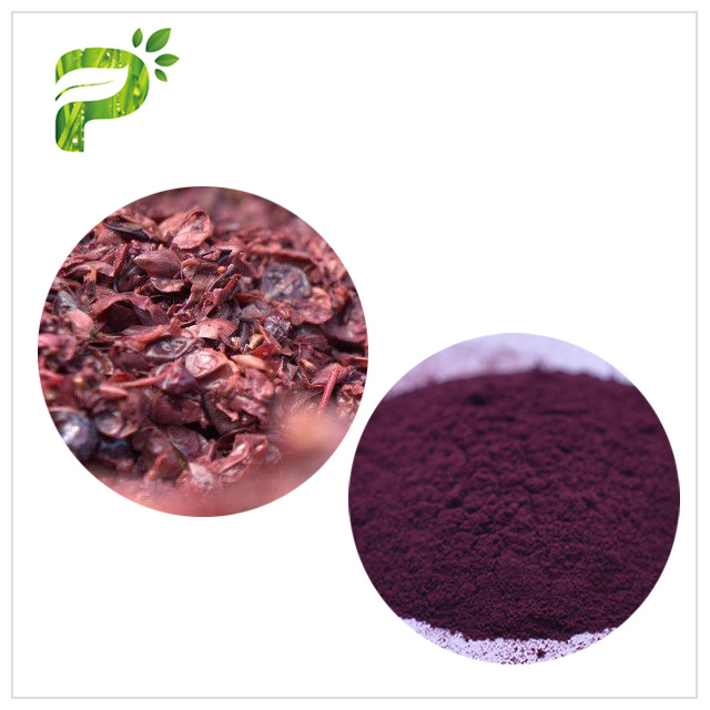 Skin Whitening Grape Skin Extract Powder Anti Oxidation Resveratrol 5%