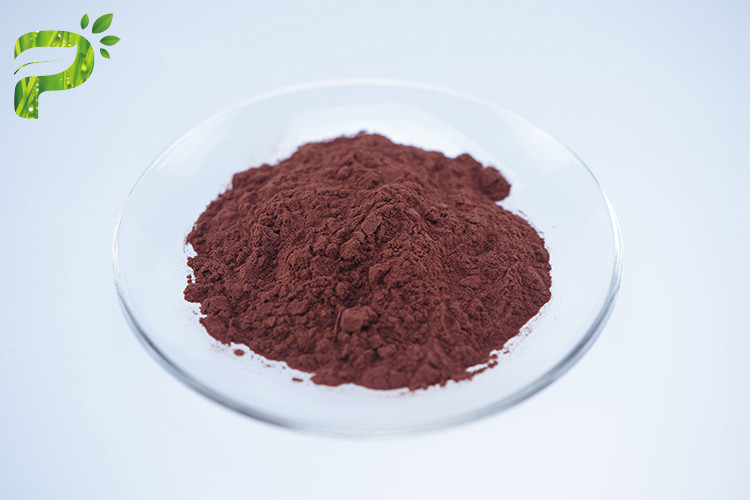 Tea Premixes Water Soluble Instant Black Tea Extract Powder